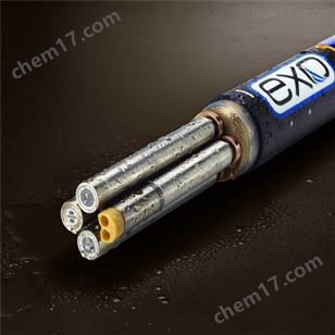维赛-代理美国YSI EXO1,EXO2 多参数水质测量仪-美国YSI EXO1-化工仪器网